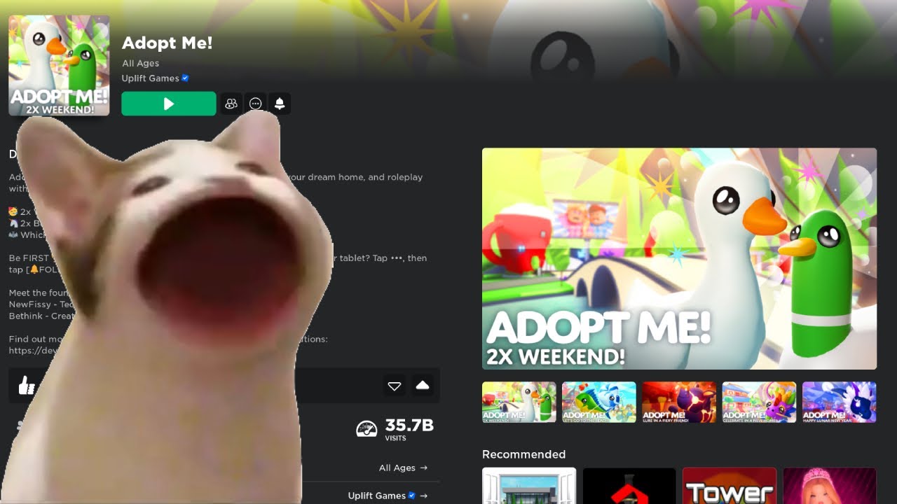 Cat Memes: Adopt Me Edition - YouTube