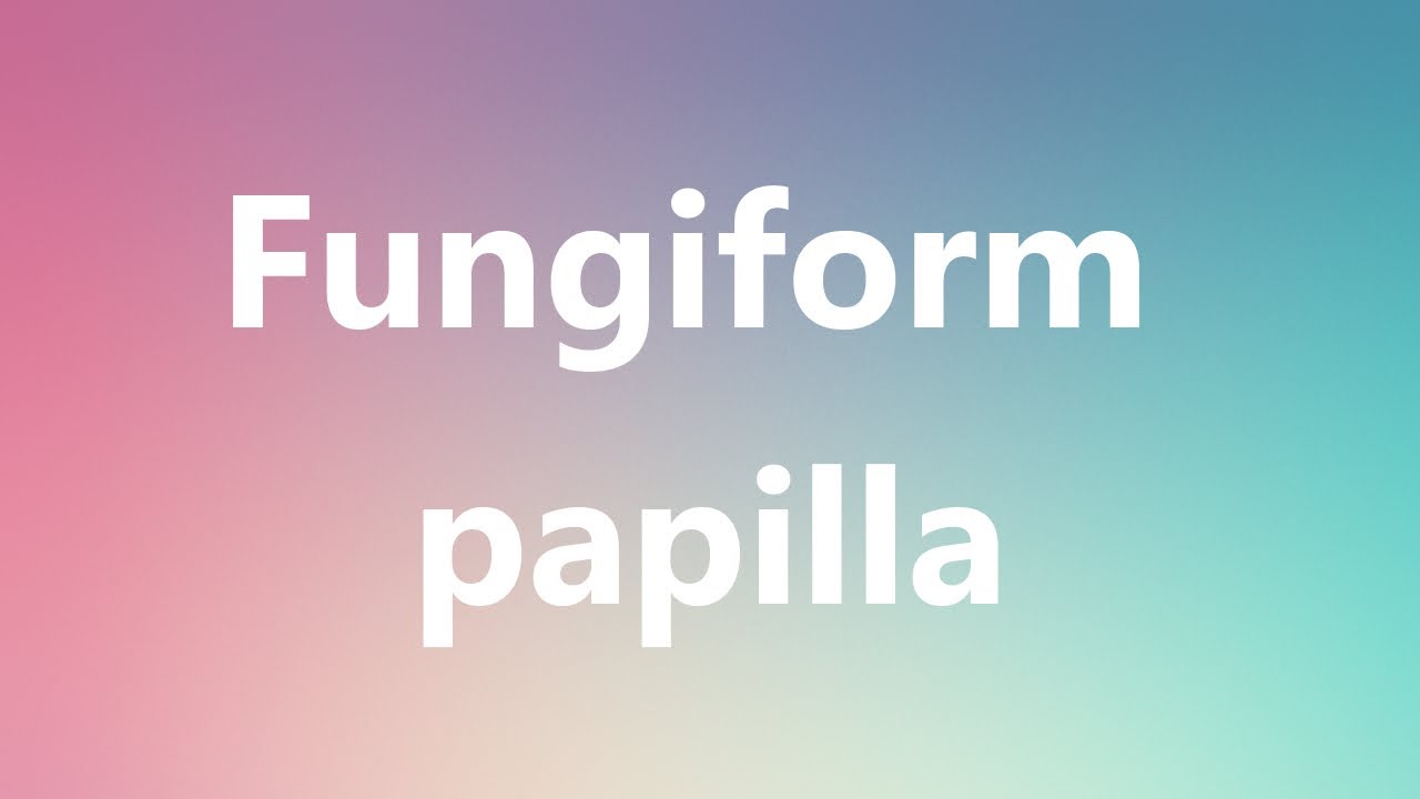 Fungiform papilla - Medical Definition and Pronunciation - YouTube