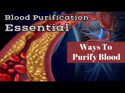 Blood Purification is essential ।। Purify Your Blood Naturally - YouTube
