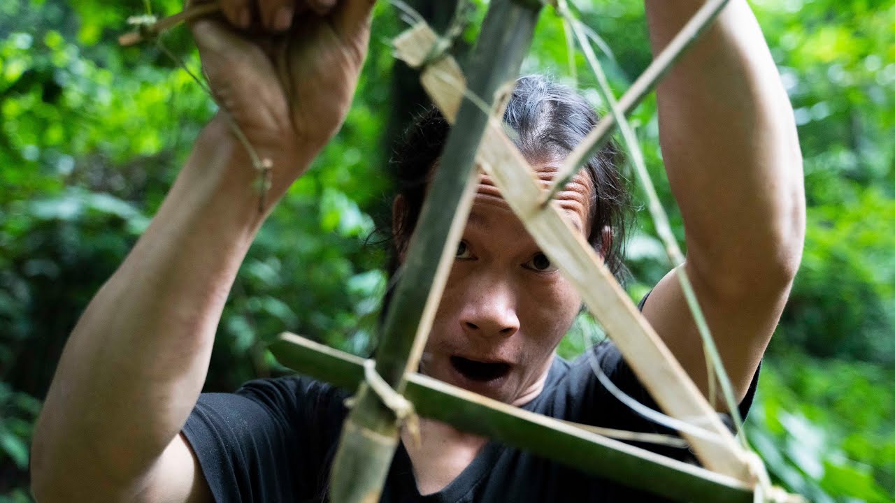 Make traps on trees 60m high, dangerous to consider before watching ...