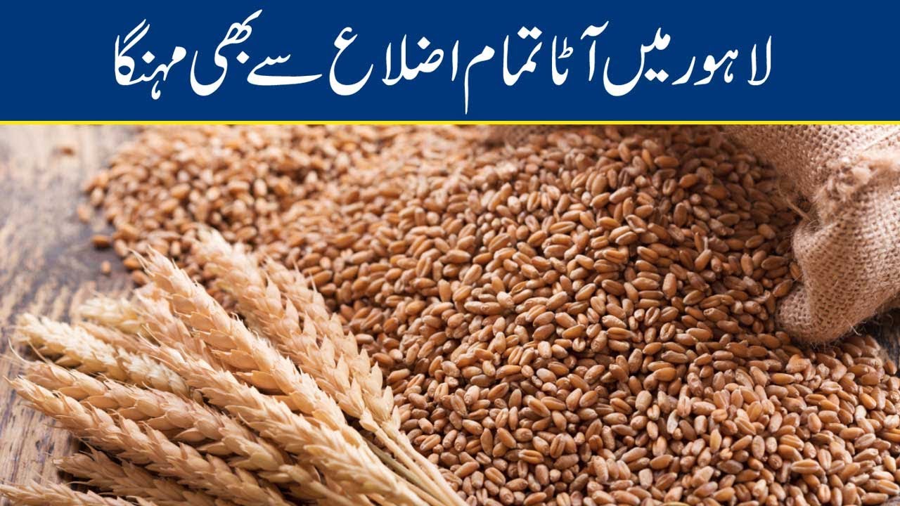 Wheat Being Sold on Highest Price in Lahore - YouTube