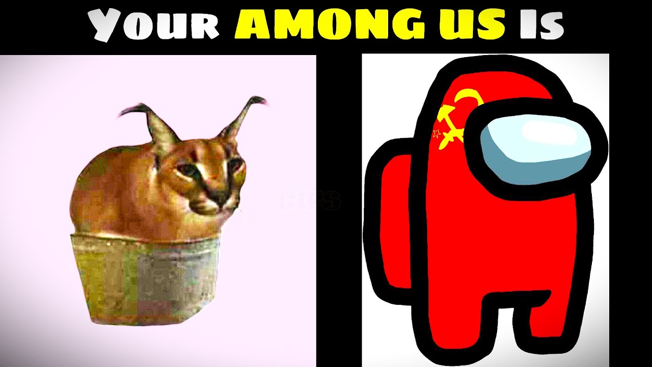 Floppa Becoming Canny (AMONG US) - YouTube