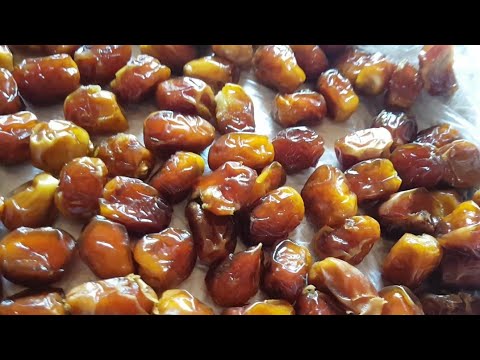 Home made Preserve Dates/Tamar (Episode28) - YouTube