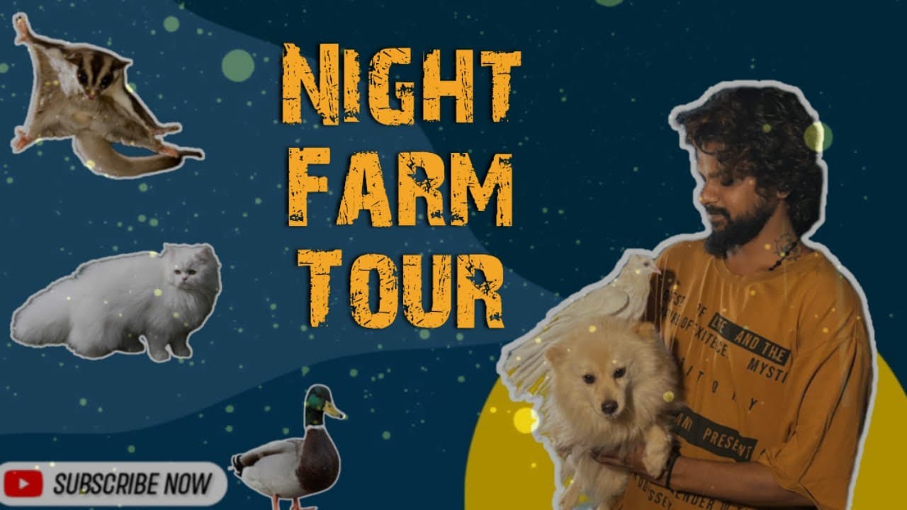 Night Farm Tour - YouTube