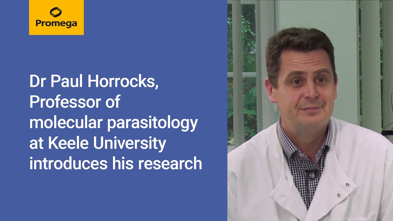 Dr Paul Horrocks, Professor of molecular parasitology at Keele ...
