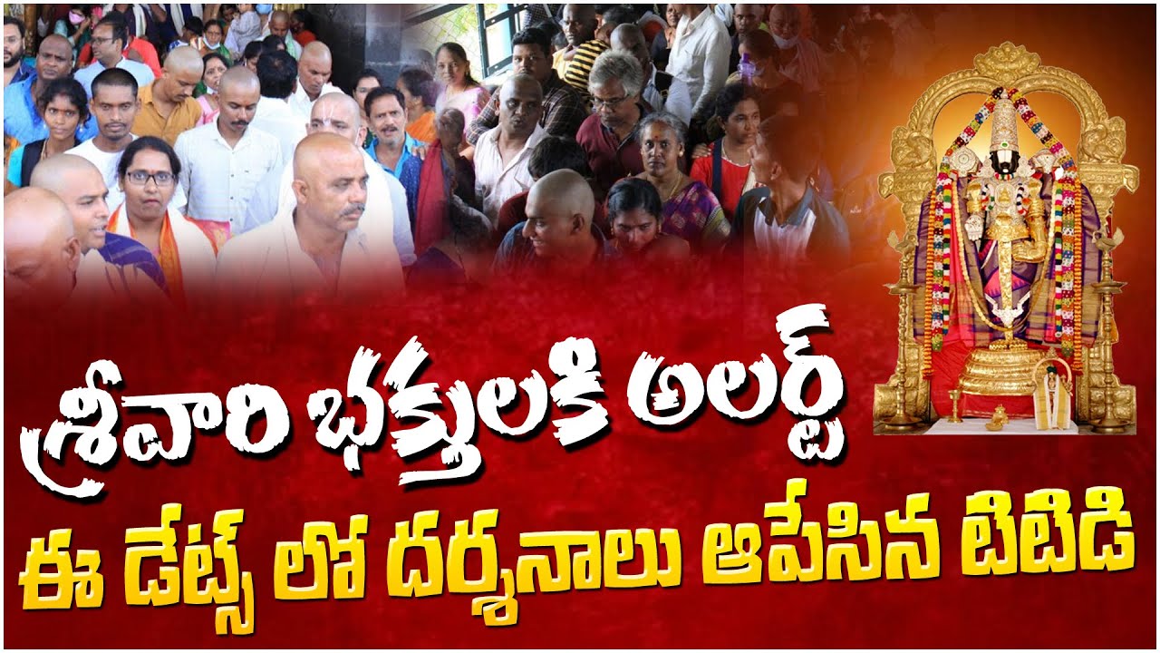 Tirumala Darshan latest updates| TTD updates|Anu TTD darshan|live ...
