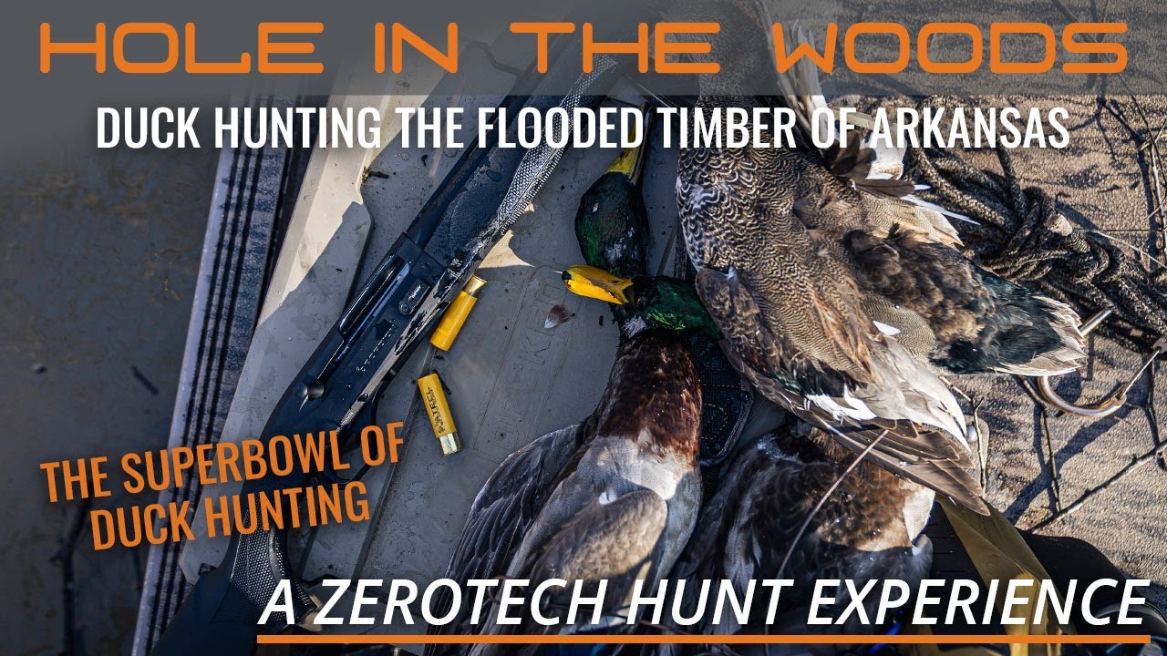 "Hole In The Woods" Duck Hunting The Flooded Timber Of Arkansas | A ...