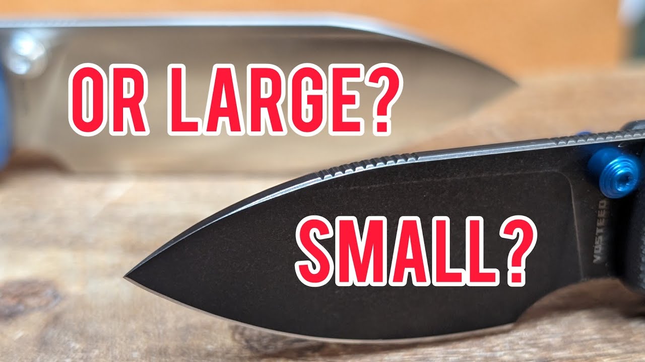 Raccoon Family Photo! Vosteed with Great Choices! - YouTube