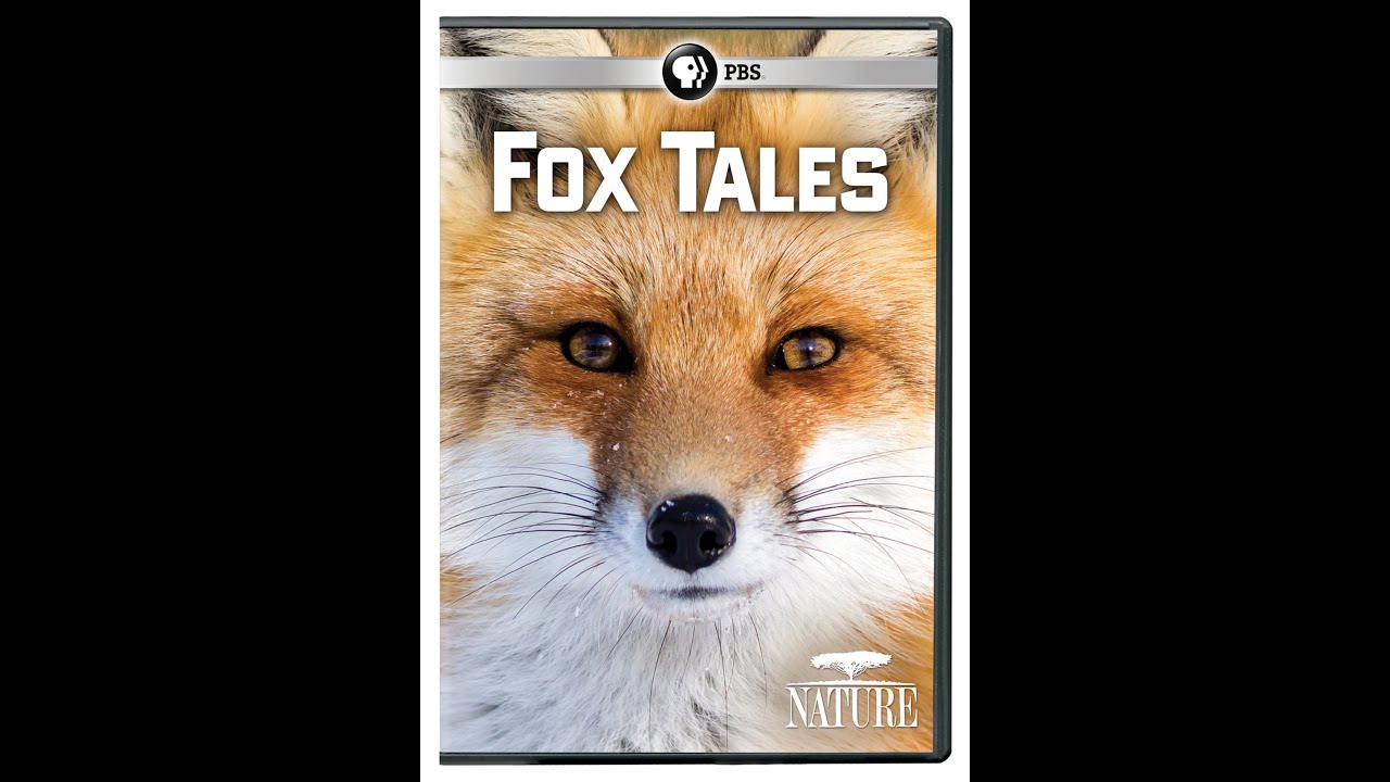 Nature Fox Tales 2017 DVD menu walkthrough - YouTube