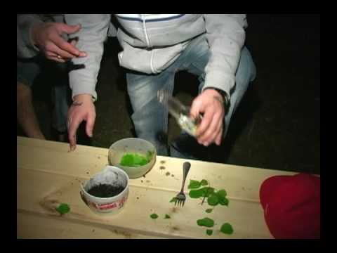 3 gars saoul sur le bord d'un lac episode 3 - YouTube