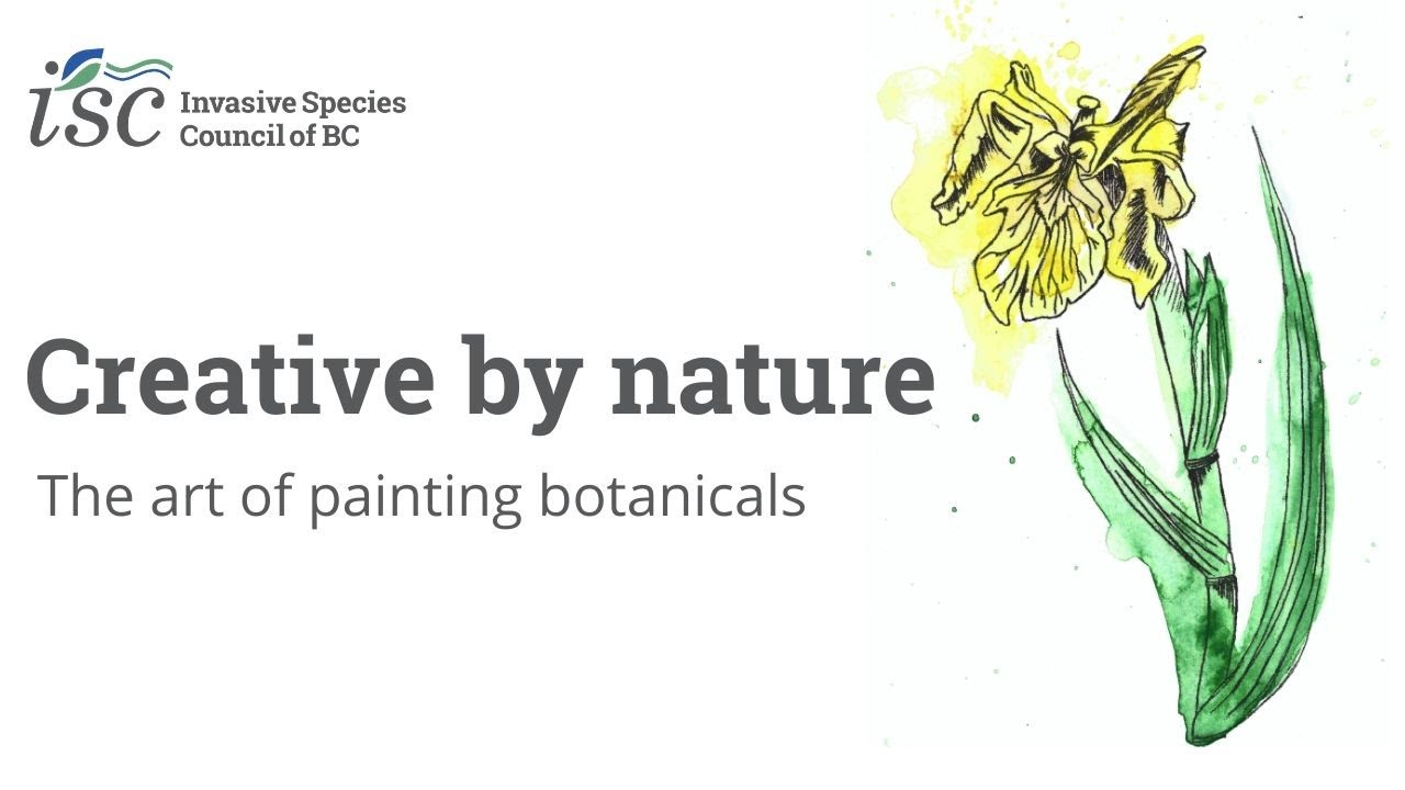 Creative by nature: the art of painting botanicals - YouTube