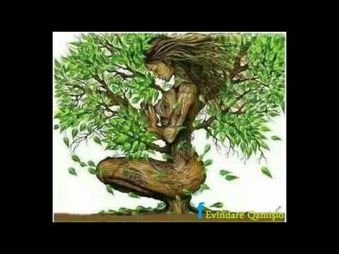 Beser Sahin- Textor