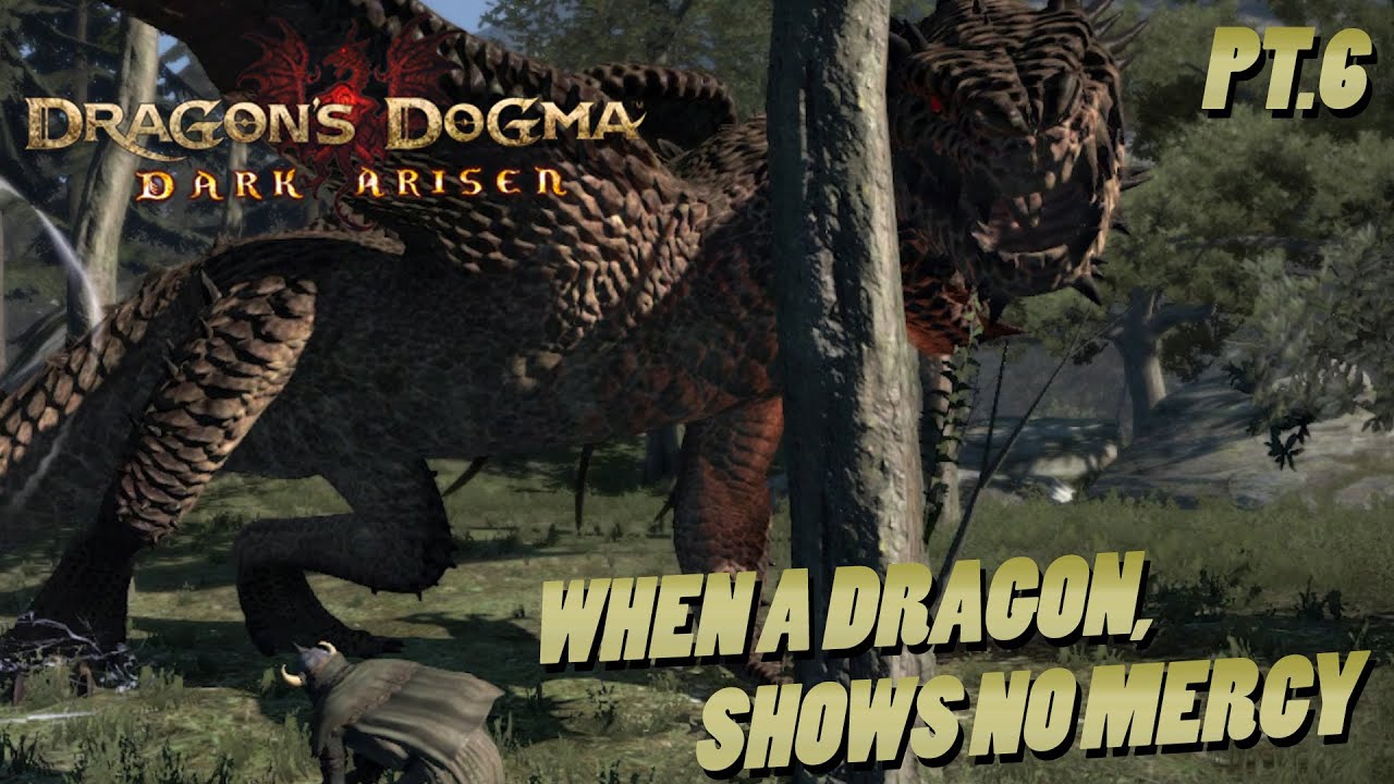 Clearing The Shadow Fort, Then Encountering Our FIRST Dragon! | [Dragon ...