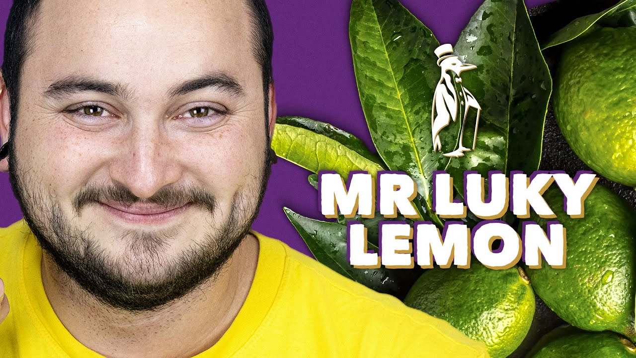 REVIEW ESSENCIA MR. LUKY LEMON O MELHOR LIMÃO DO MERCADO? - YouTube
