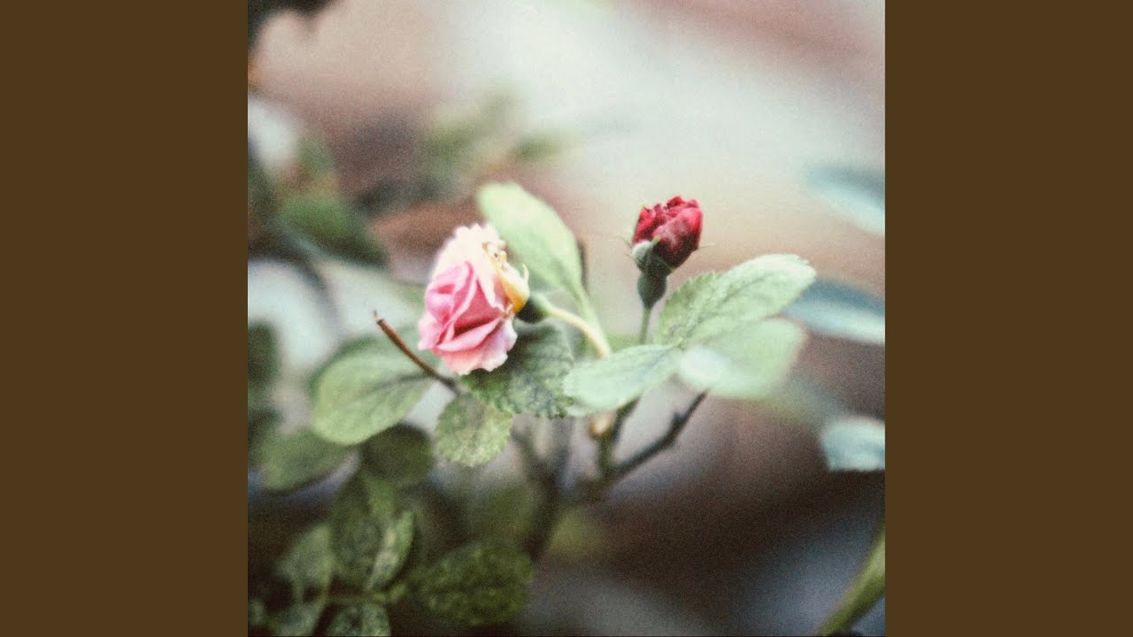 Meyta - Never Abandoned You (feat. Davey Legend & Emily Mohrman ...