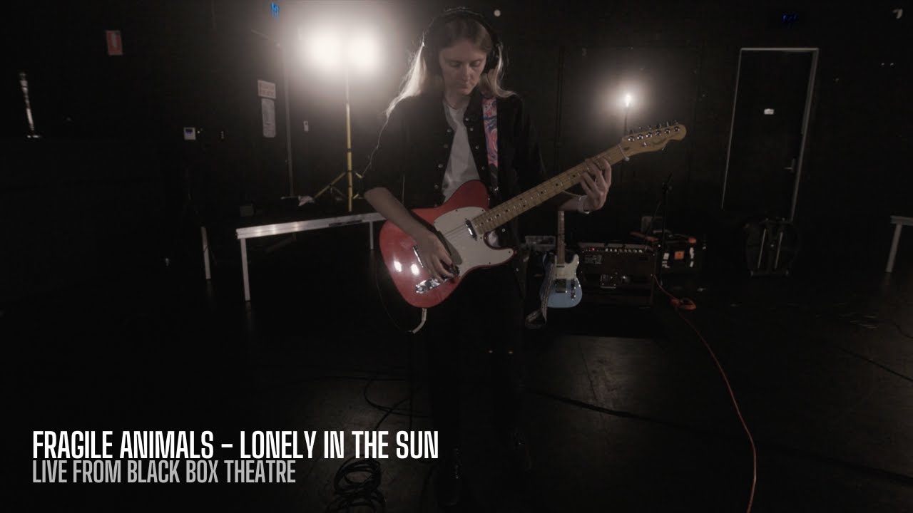 Fragile Animals - Lonely In The Sun [Live from Black Box Theatre 2025 ...