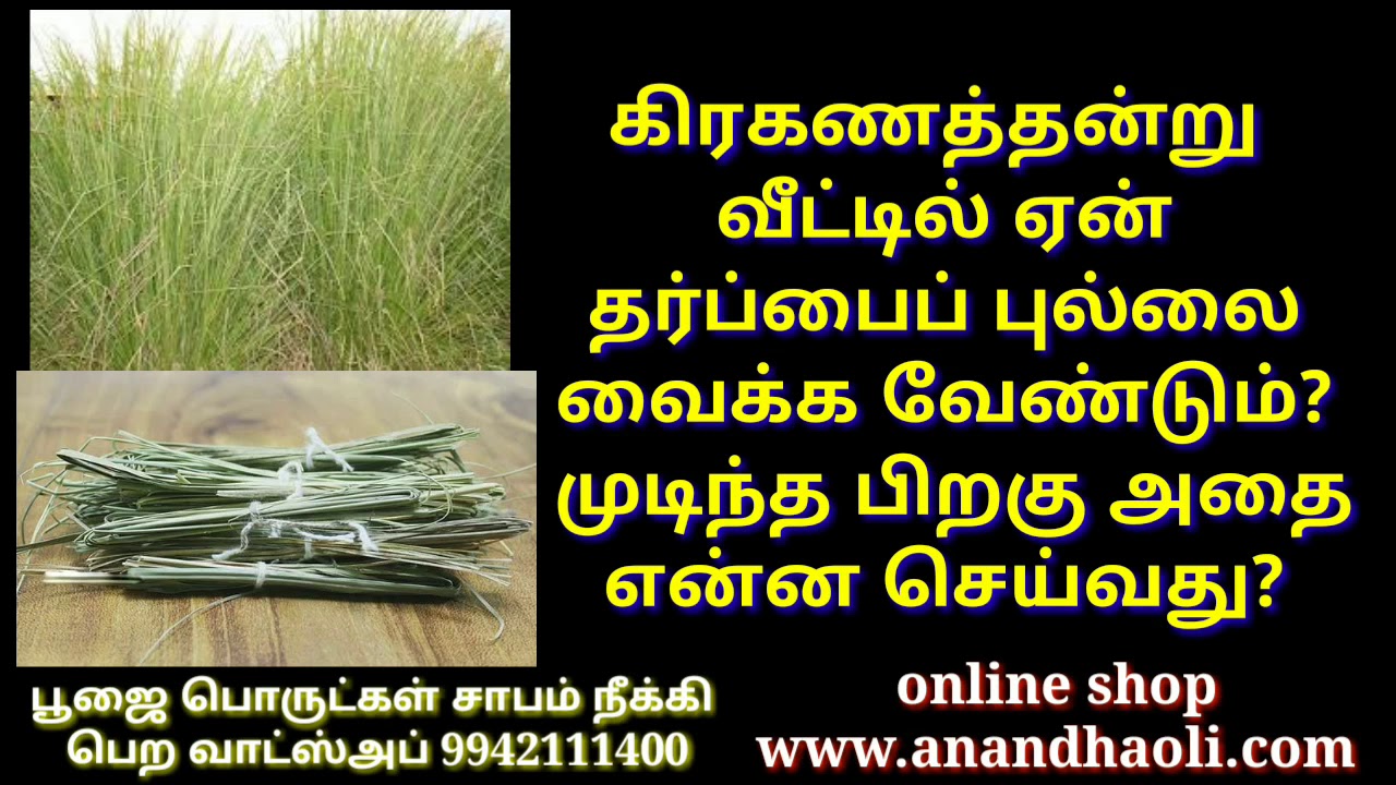 கிரகணத்தன்று வீட்டில் ஏன் தர்ப்பைப் புல்லை வைக்க வேண்டும்? முடிந்த ...