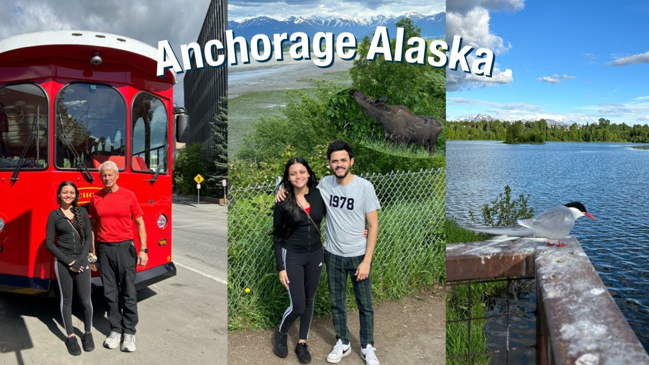 My first trip to Alaska *Moose encounter* - YouTube