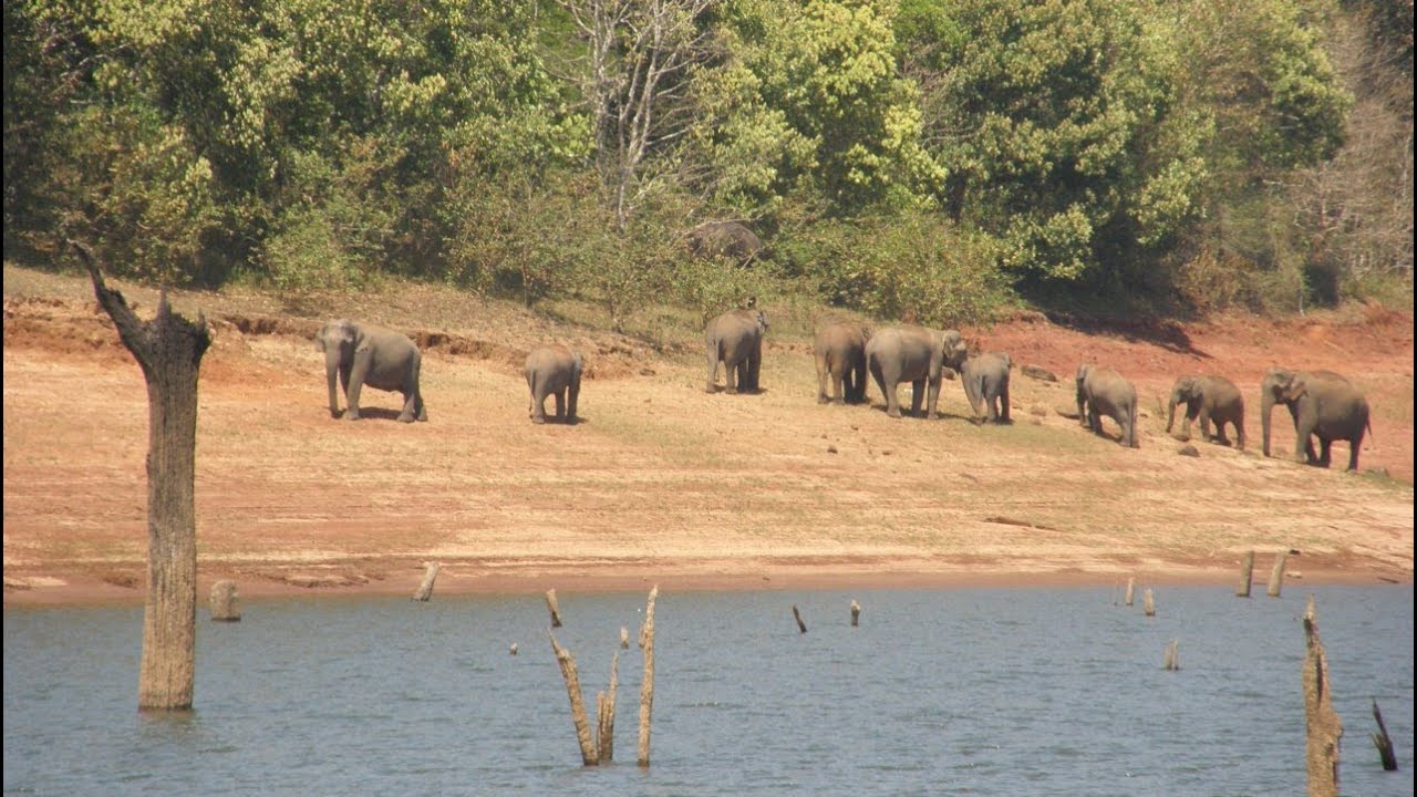 South India: Kerala. Lots of nature and beautiful Indian girls and ...