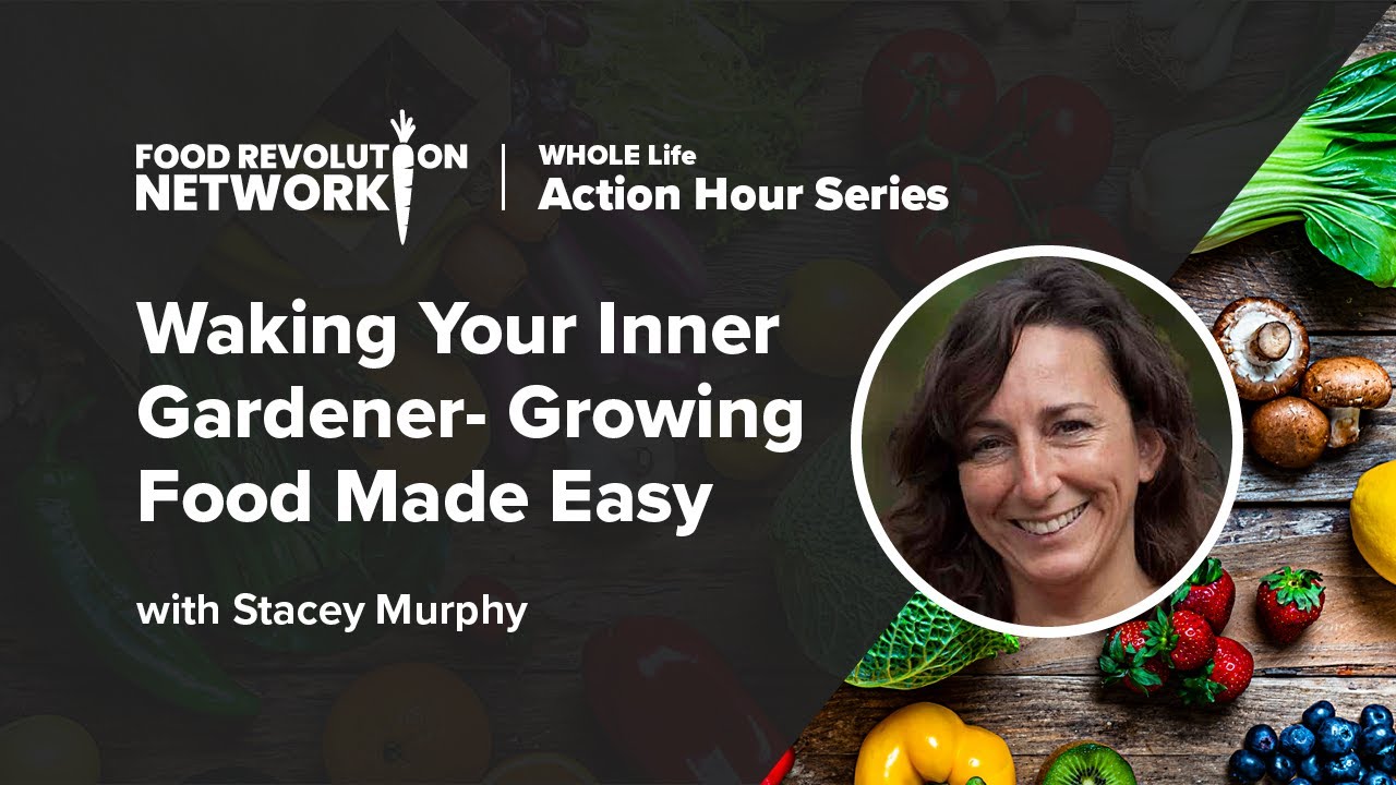 WHOLE Life Action Hour - Stacey Murphy - March 5, 2022 - YouTube