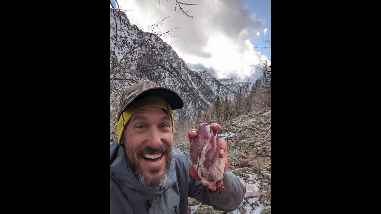 Colorado G5 Archery Mountain Goat 2022 Hunt - YouTube