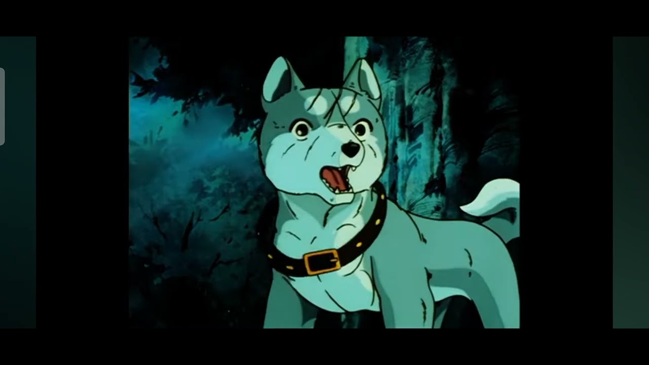 GIN VS SNIPER|GINGA NAGAREBOSHI GIN #silverfang #gin #weed #gingaweed # ...