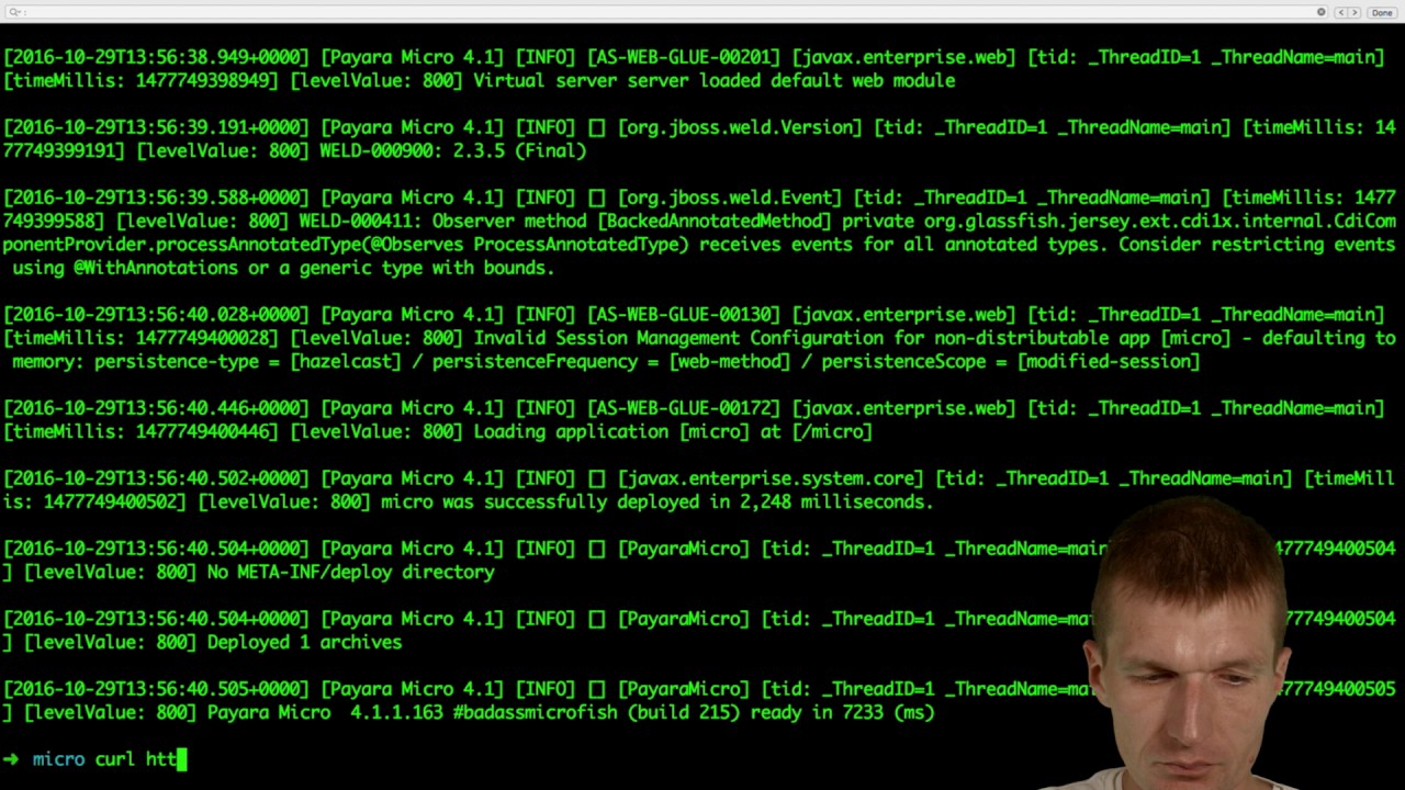 Payara Micro And Docker - YouTube