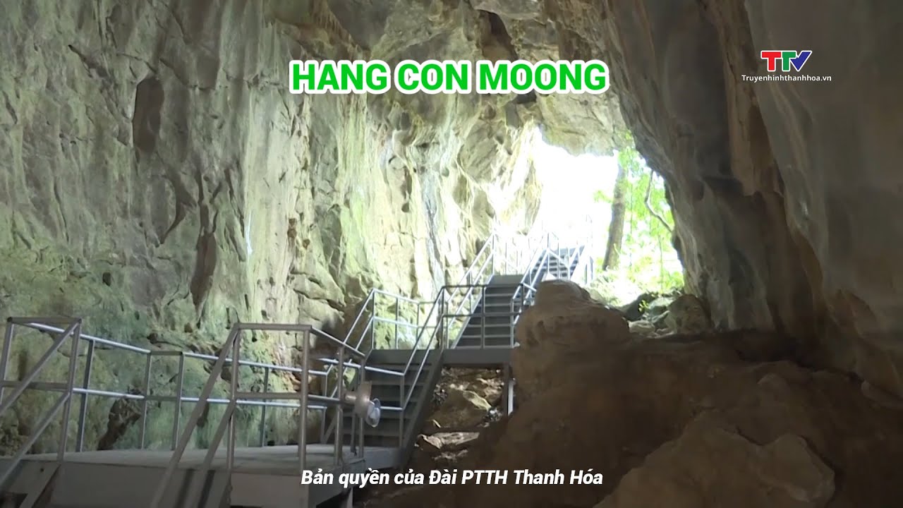 Giá trị nổi bật toàn cầu của di tích khảo cổ Hang Con Moong - YouTube