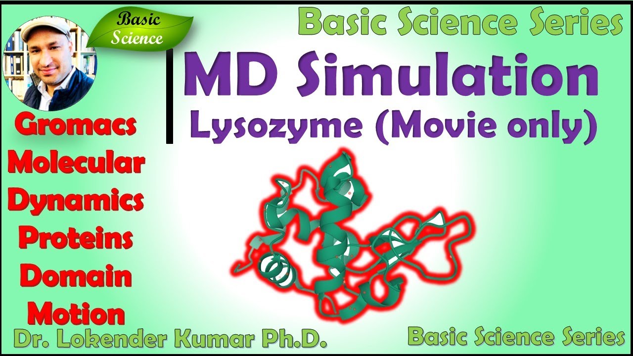 MD simulation Movie (only) | Protein movement | Lysozyme | Gromacs ...
