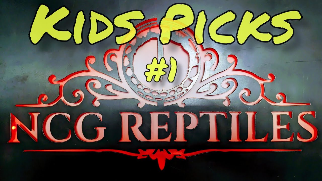 Kids Picks.... The kids pick something in the Gecko Room!!! - YouTube