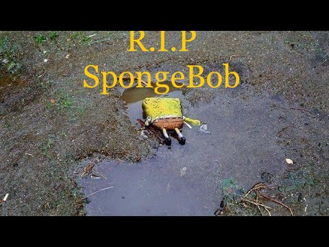 RIP SpongeBob - YouTube