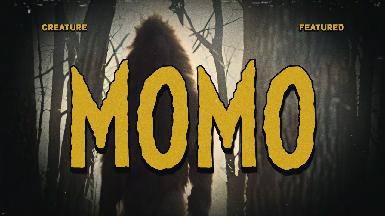 What is MoMo? - YouTube