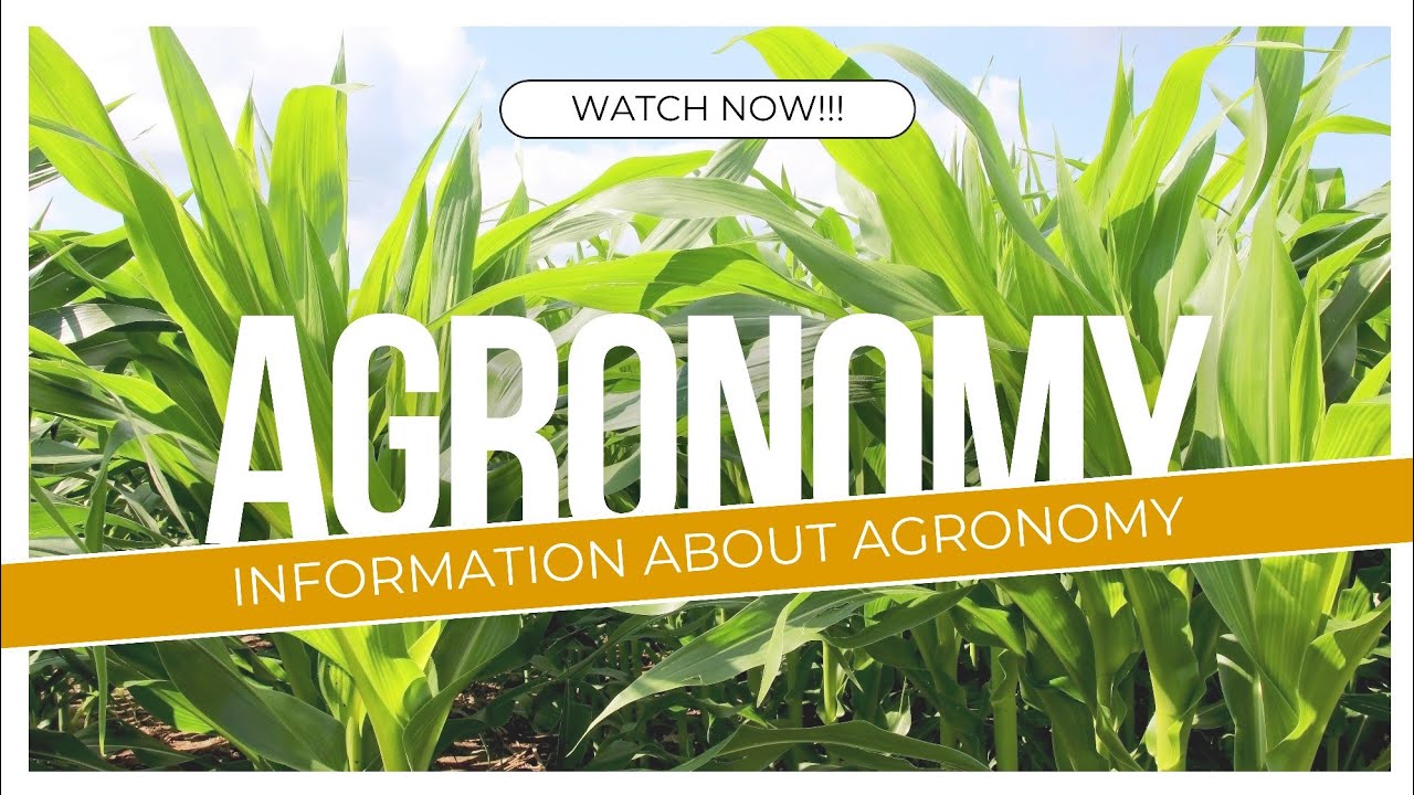 What is Agronomy - YouTube