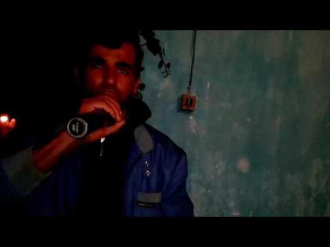 Sekili zaur qezel
