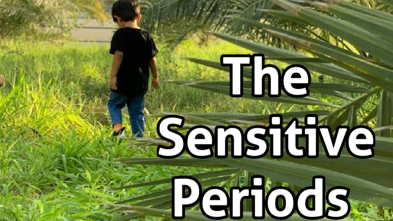THE SENSITIVE PERIODS | Montessori parenting#6 | Montessori at home ...