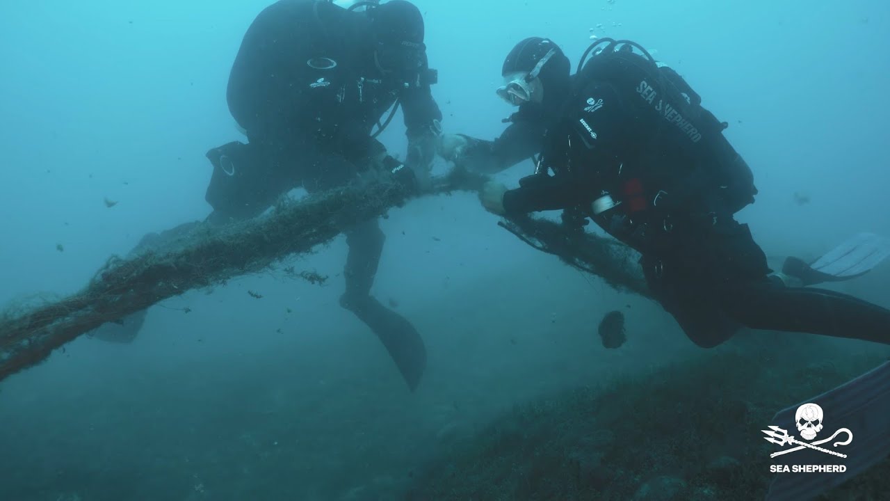 Ghostnet Campaign: "Caccia alle reti fantasma" - Volontari in azione nelle acque del Plemmirio ...