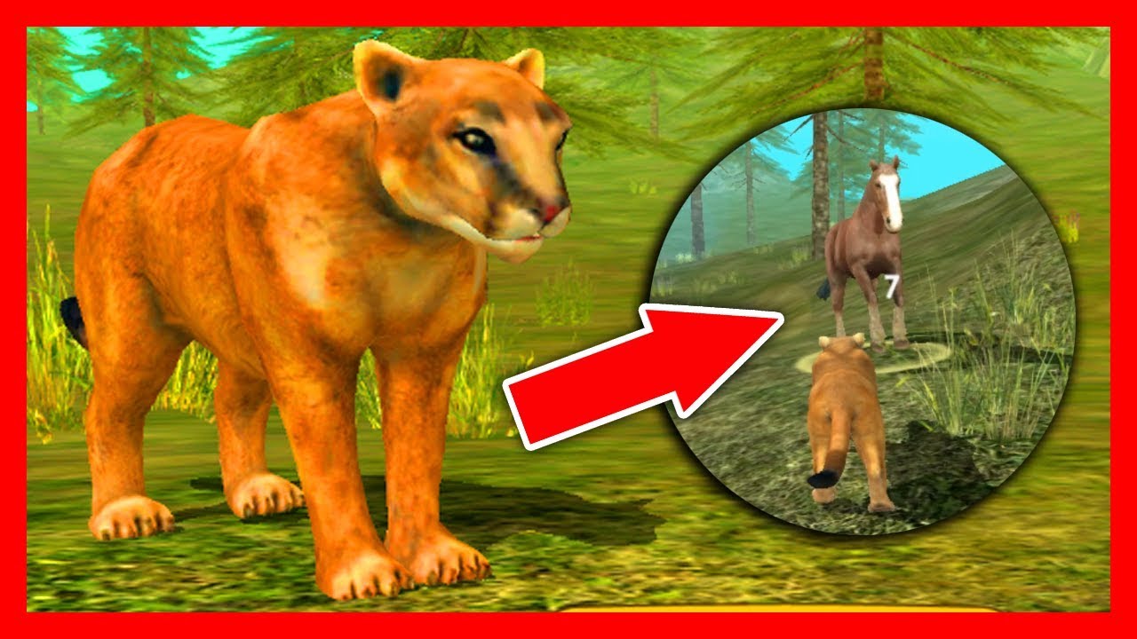 СИМУЛЯТОР ПУМЫ #1 СЕМЬЯ ПУМЫ или ДИКАЯ КОШКА в в Puma Sim - YouTube