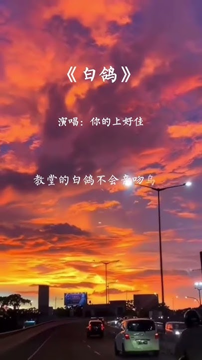经典歌曲《白鸽》 熟悉的旋律响起 满满的回忆 中国音乐电视 Music Tv Shorts Youtube