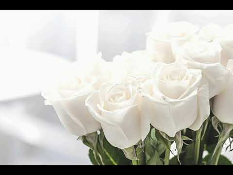 Zurab Buchvelashvili -  Tetri vardebi