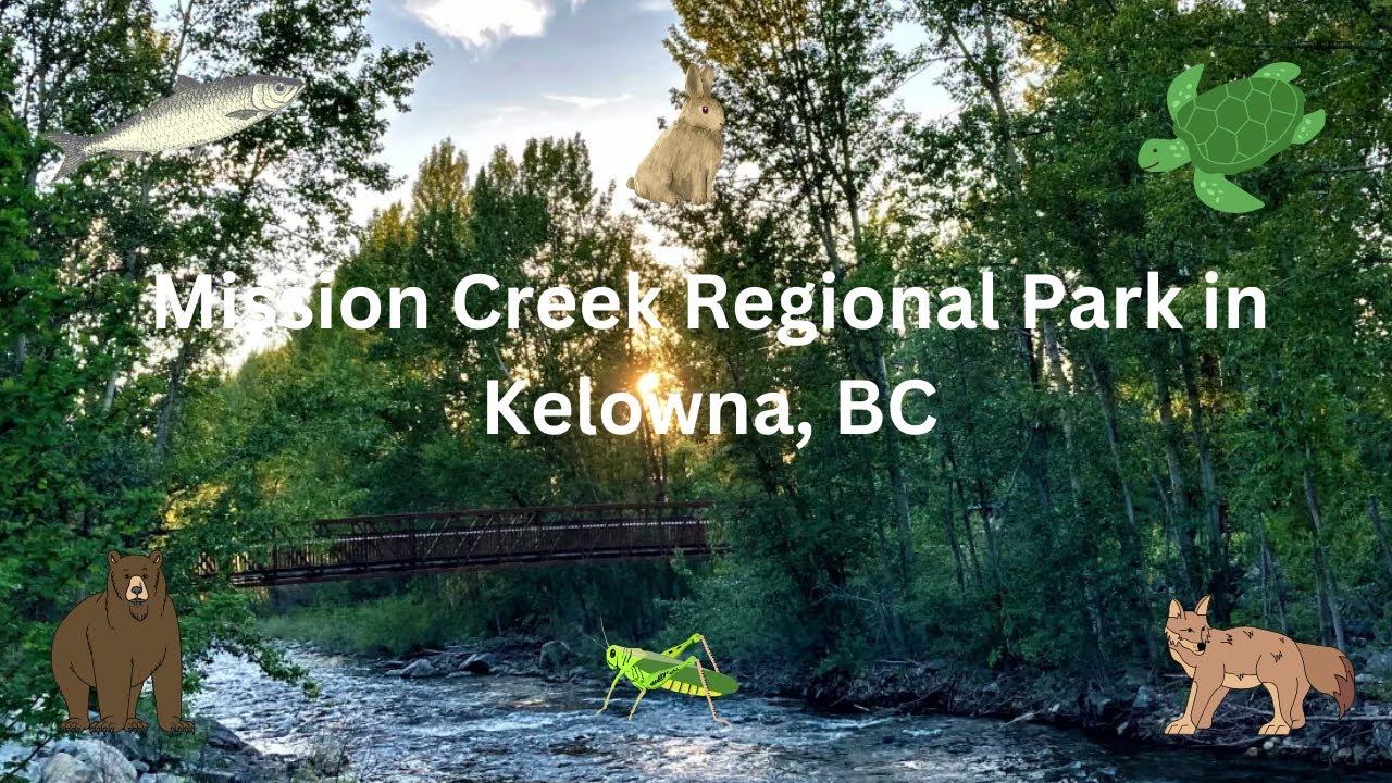 Mission Creek Regional Park in Kelowna, BC - YouTube