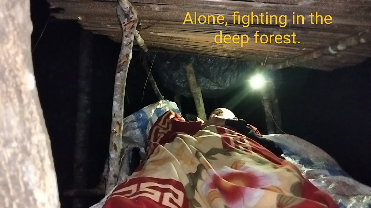 Video solo 24 hours making small houses, temporary shelter, deep forest. - YouTube