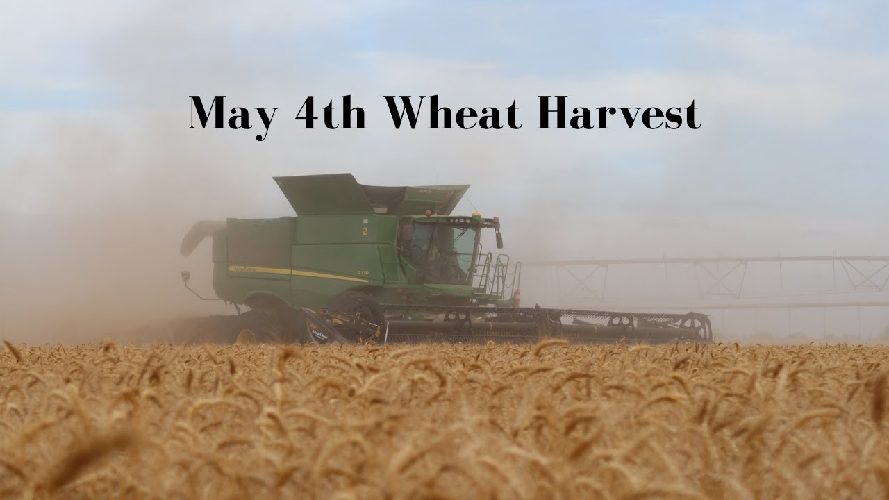 May 4th Wheat Harvest - YouTube