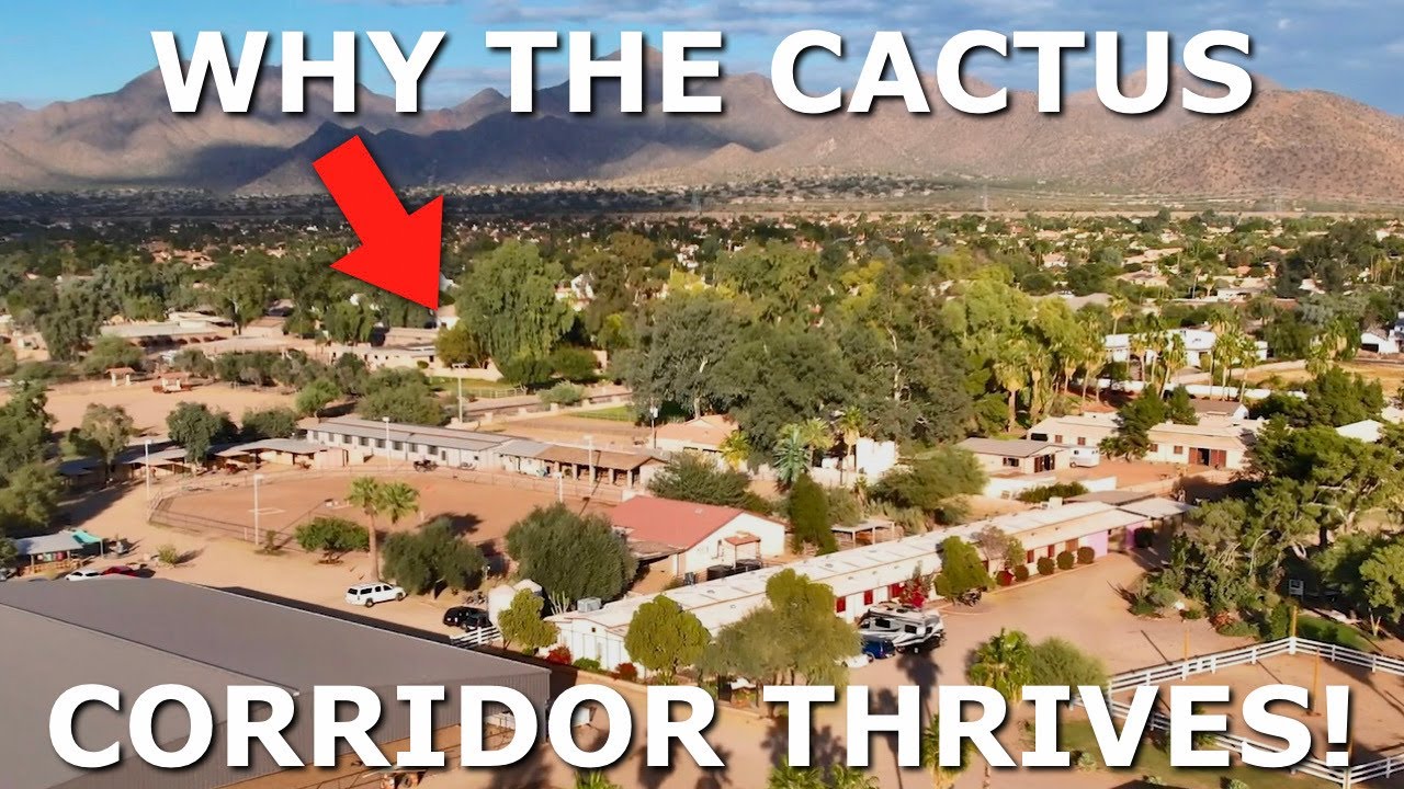 Why We Love Scottsdale, Arizona's Cactus Corridor! - YouTube