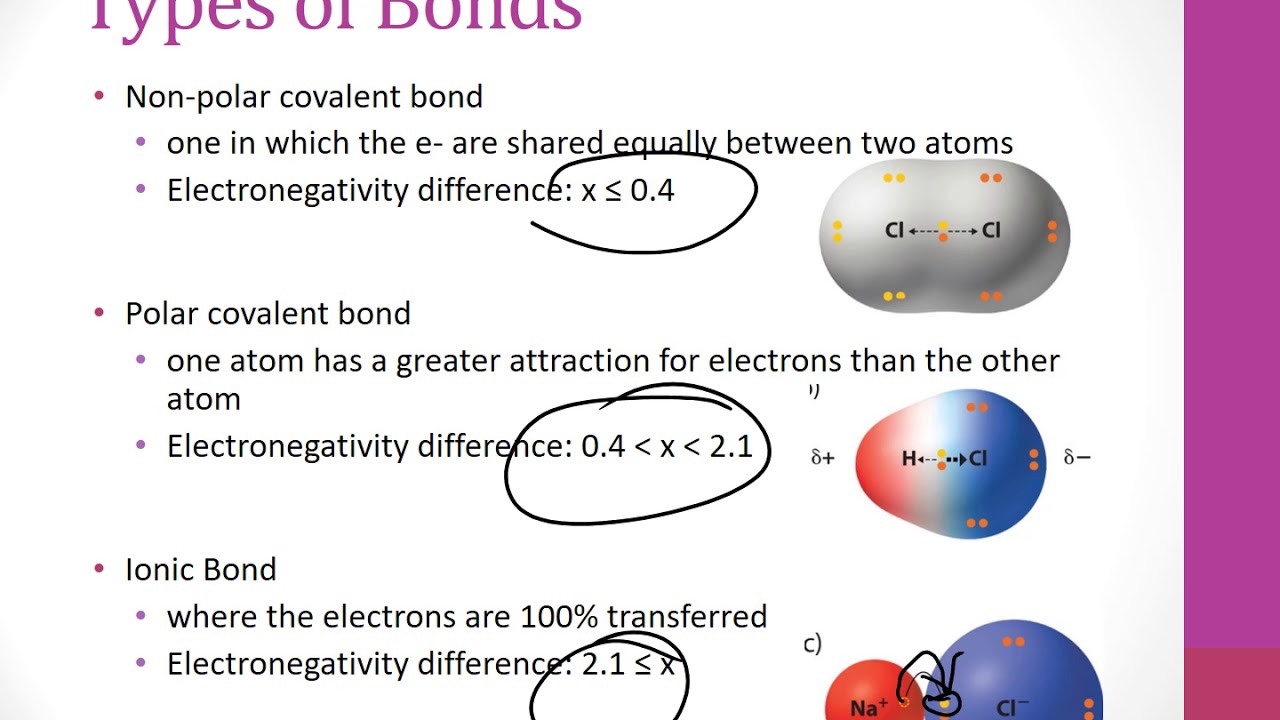 Bond Polarity - YouTube