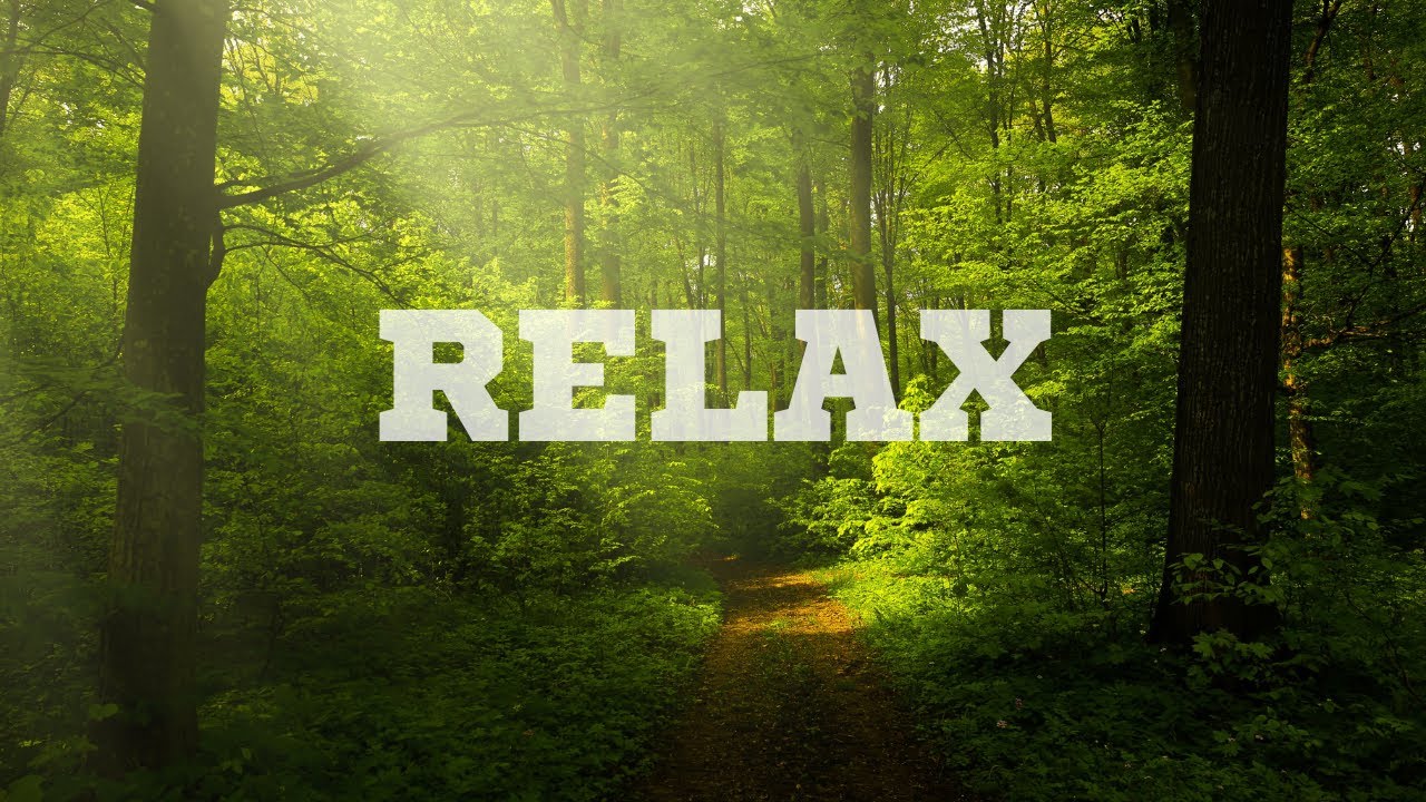 Relaxation video | Relax your mind - YouTube