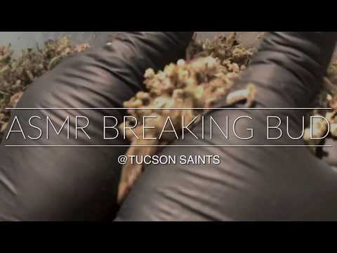 ASMR Breaking BUD Tucson SAINTS Dispensary
