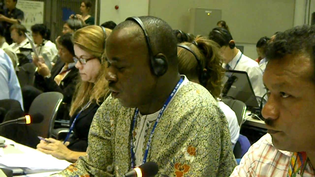 IIFB submission on article 10c CBD COP10 (1/2) - YouTube