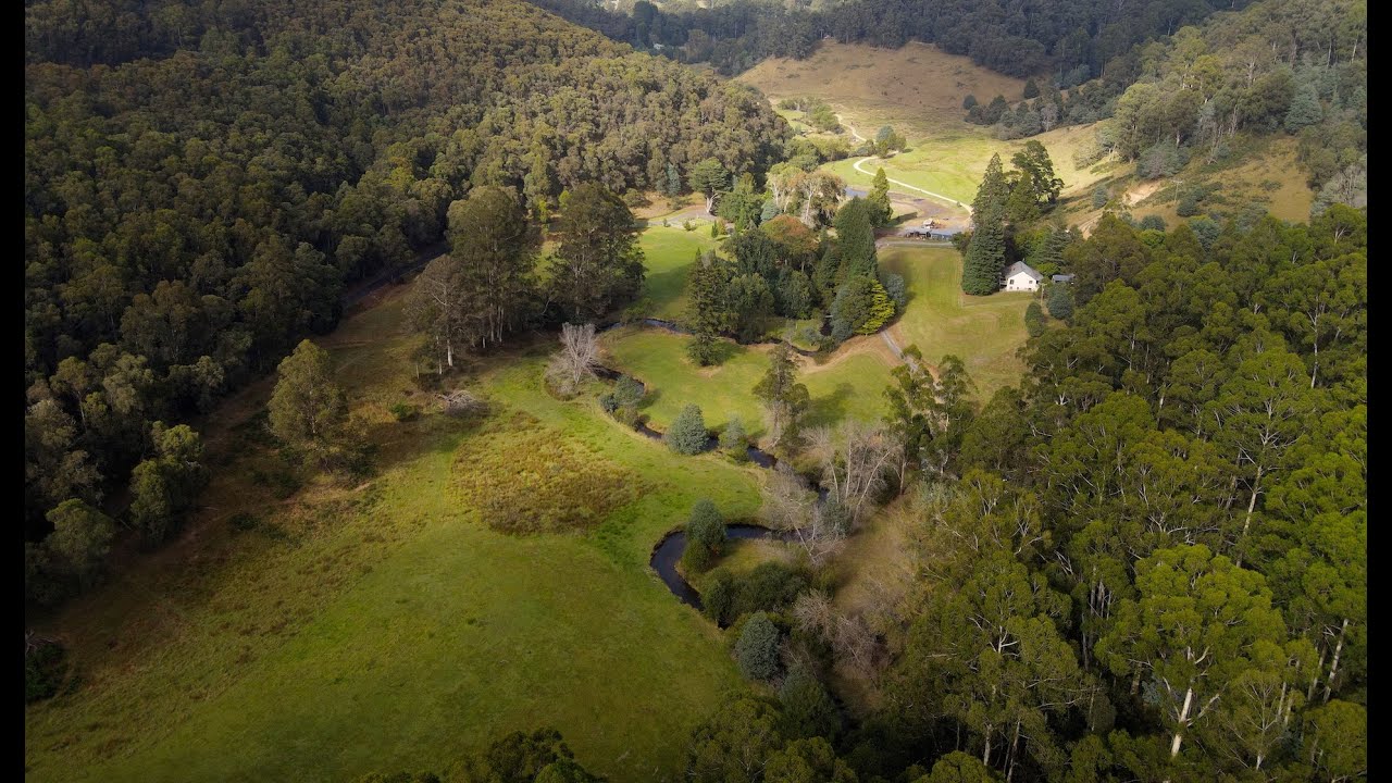 Fly Fishing the Toorongo River, Victoria - YouTube