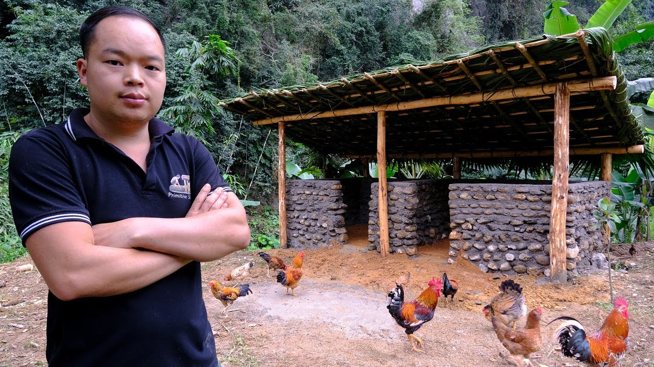 PRIMITIVE SKILLS; Duong continue to raise pigs - Build a pig barn out ...