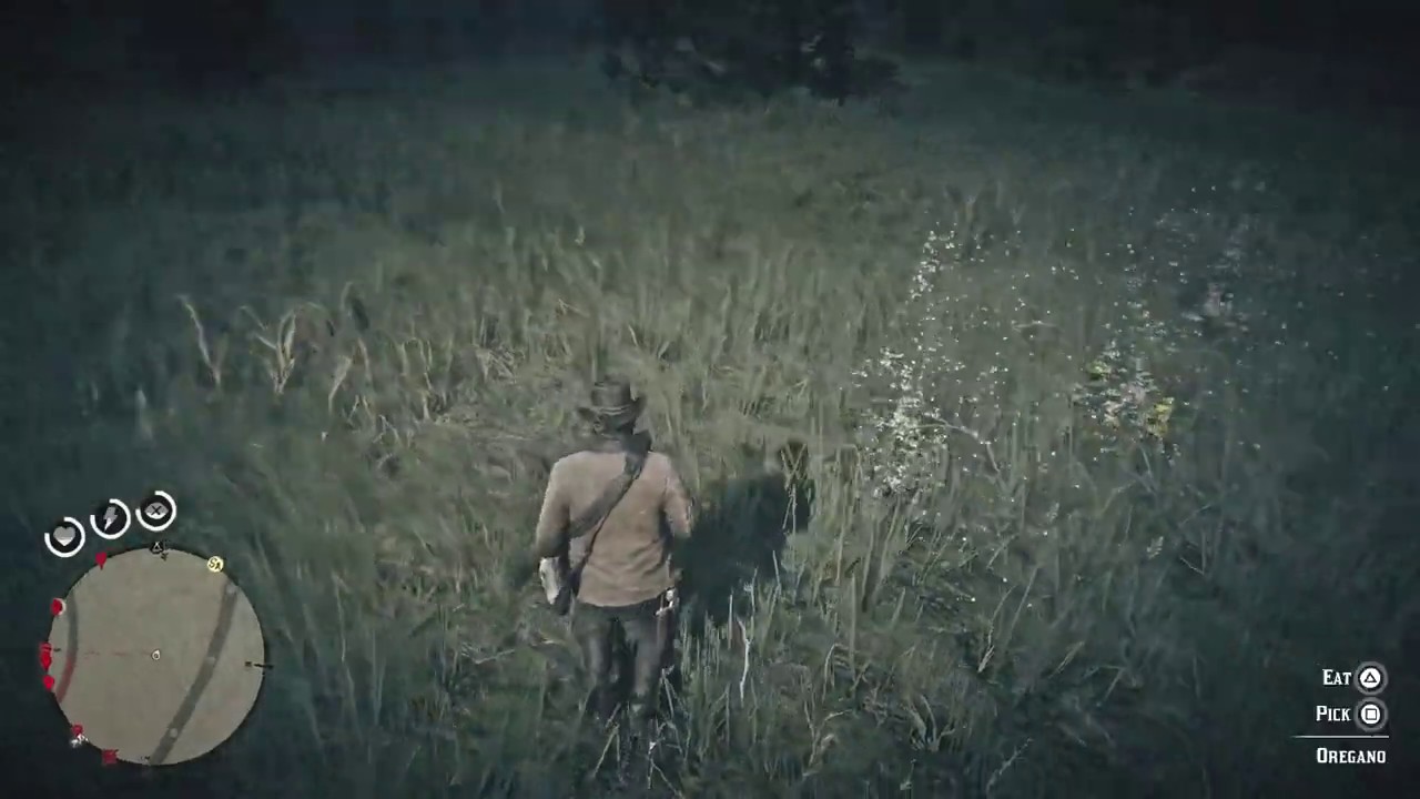 Red Dead Redemption 2 100% Walkthrough Chapter 2 Part 48 Oregano pt2 ...